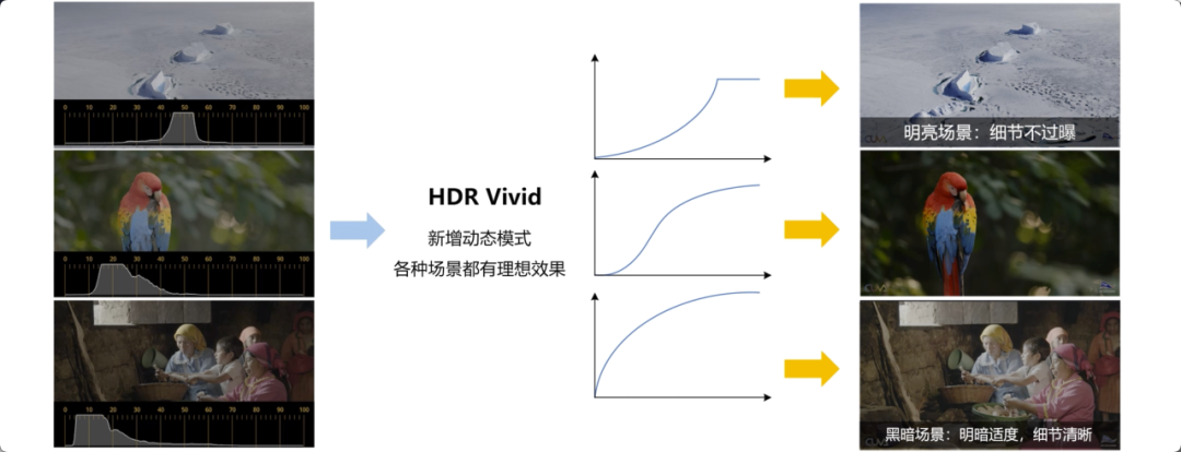 什么是HDR Vivid（菁彩HDR）？如何区分HDR Vivid视频 - 实时互动网