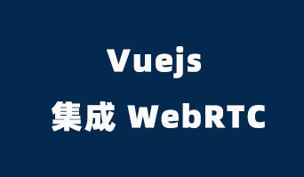 使用 Vue.js 和 WebRTC 构建实时视频应用程序 - 实时互动网